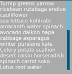 Advanced Ren’Py: Part 1: Screen Language – Digital Ephemera